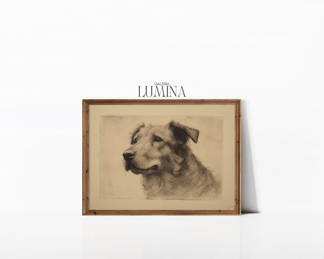 Vintage Old Dog Pencil Drawing Antique Dog Sketch Art Print Animal ...