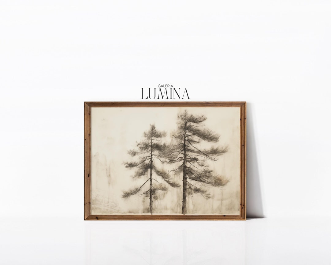 Pine Tree Sketch Drawing Vintage Rustic Tree Sketch Antique Neutral ...