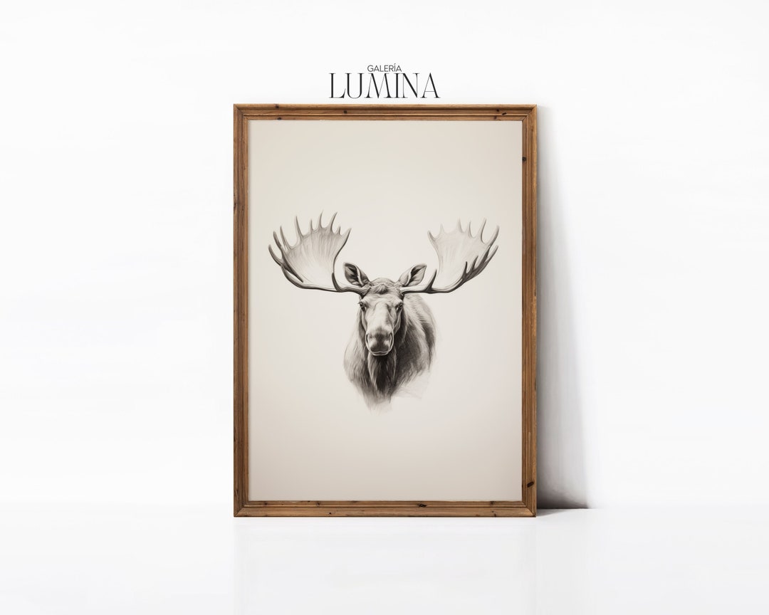 Moose Rustic Sketch Art Antler Animal Print Moose Pencil Drawing ...
