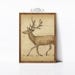 Old Deer Medieval Manuscript Sketch Vintage Stag Wall Art Antique Deer ...