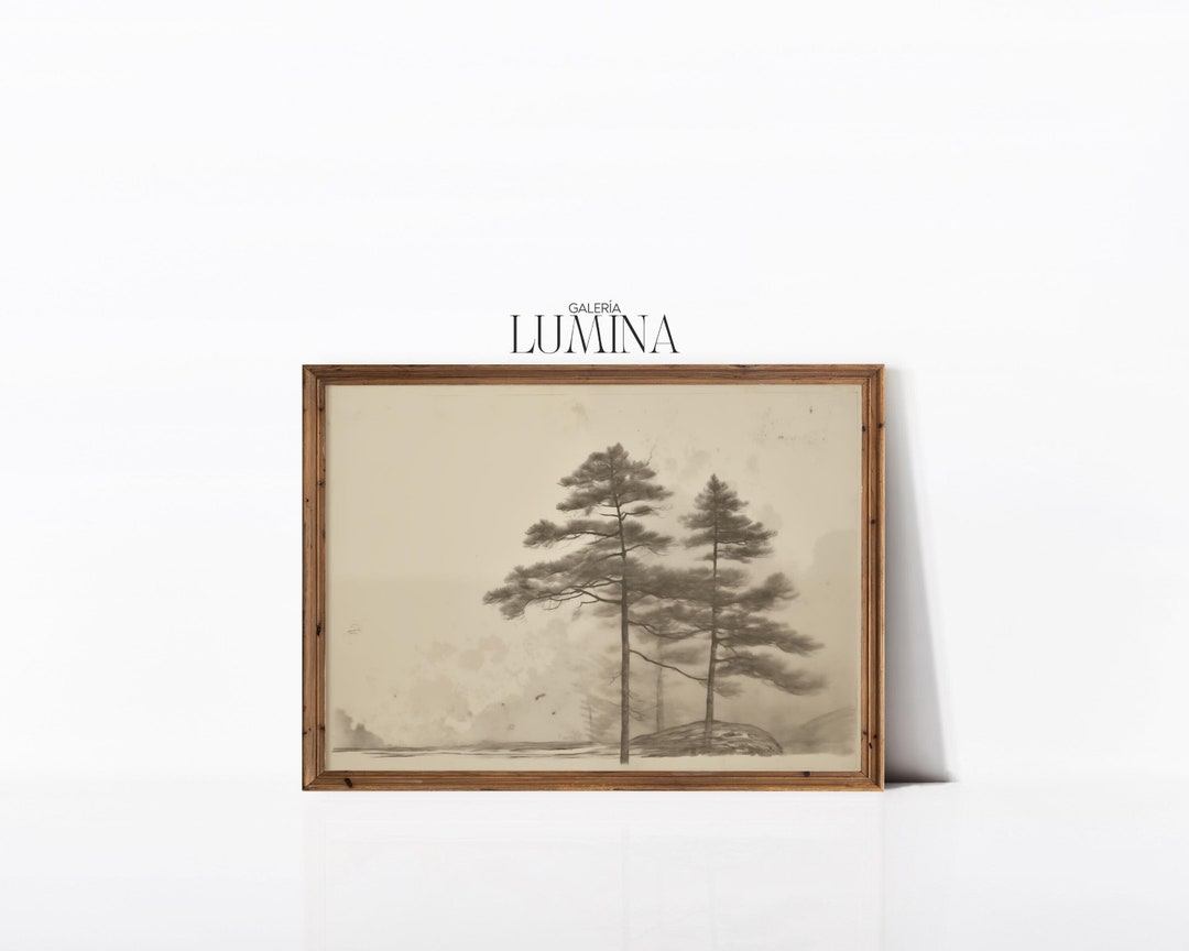 Pine Tree Lithographic Drawing Pine Tree Sketch Drawing Vintage Rustic ...