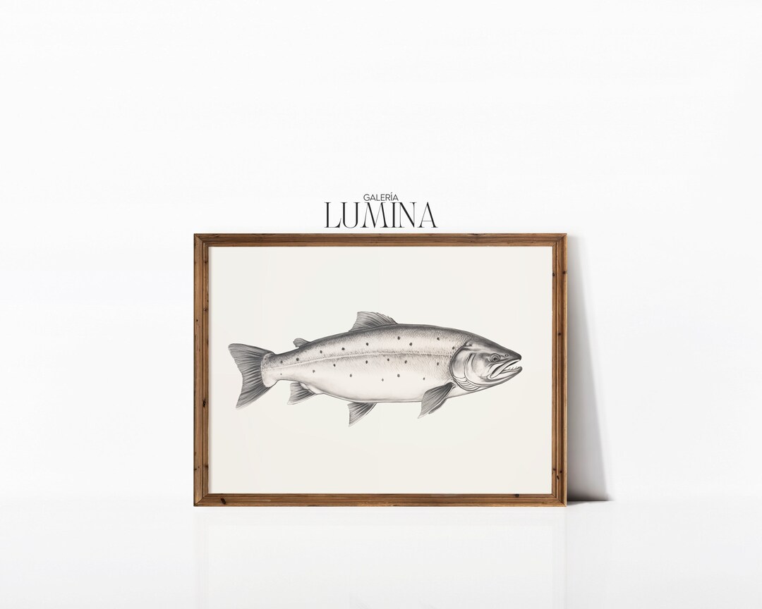 Minimalist Salmon Pencil Drawing Neutral Fish Illustration Salmon ...