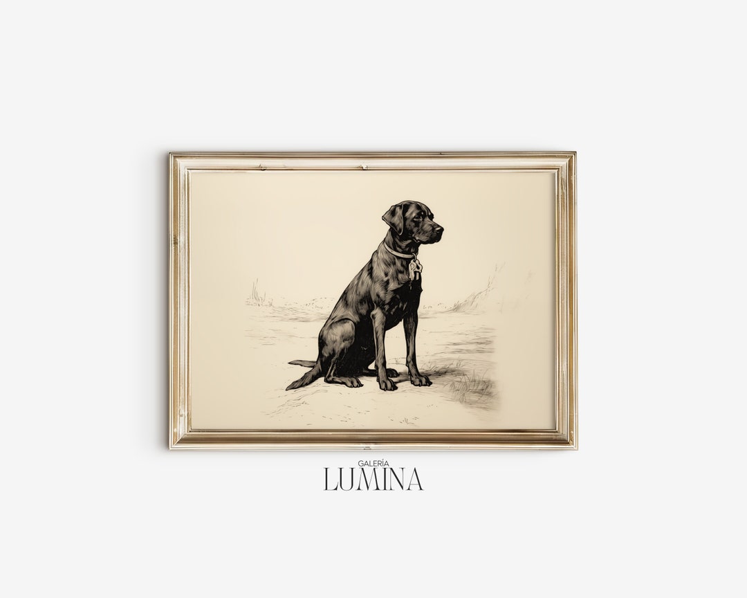 Black Dog Ink Drawing Black Labrador Print Vintage Dog Painting Antique ...