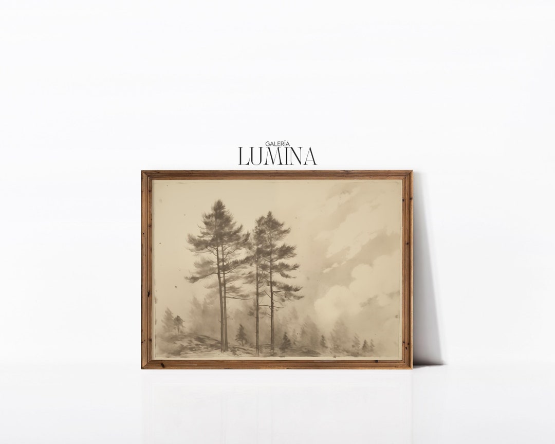 Pine Tree Lithographic Drawing Pine Tree Sketch Drawing Vintage Rustic ...