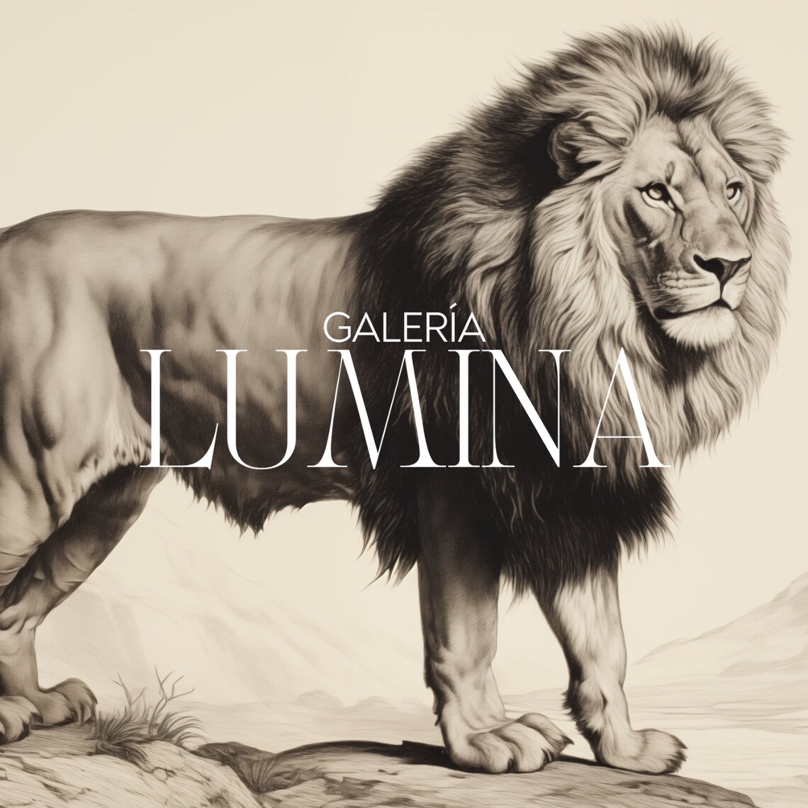 Lion Pencil and Ink Drawing King of the Jungle Wildlife Animal Print ...