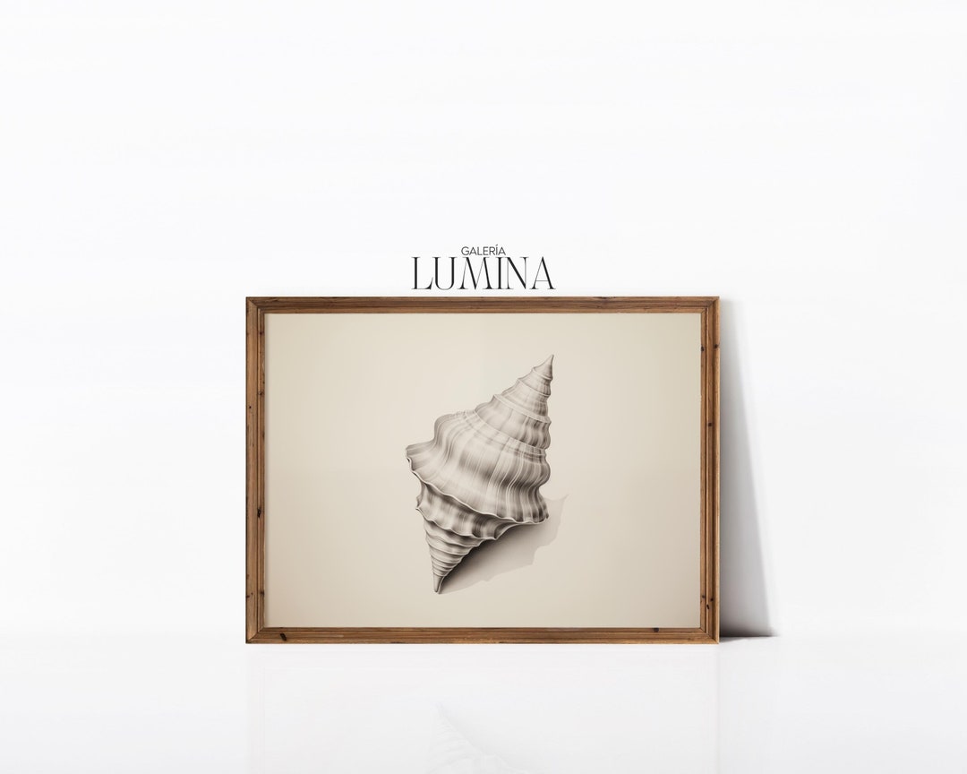 Conch Shell Pencil Drawing Vintage Minimalist Shell Print Beach ...