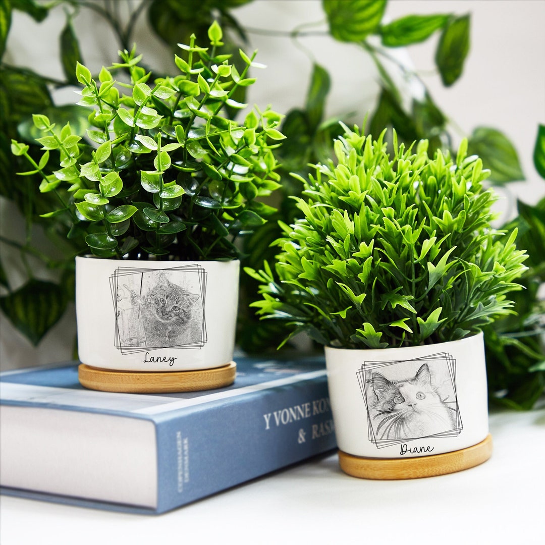 Pet Memorial Gift Plant Pot,custom Photo Succulent Pots,pet Portrait ...