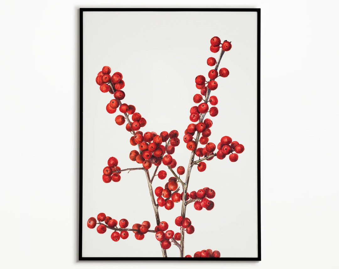 Winterberry Branch Painting Poster, Art Prints, Wall Art, Botanical ...