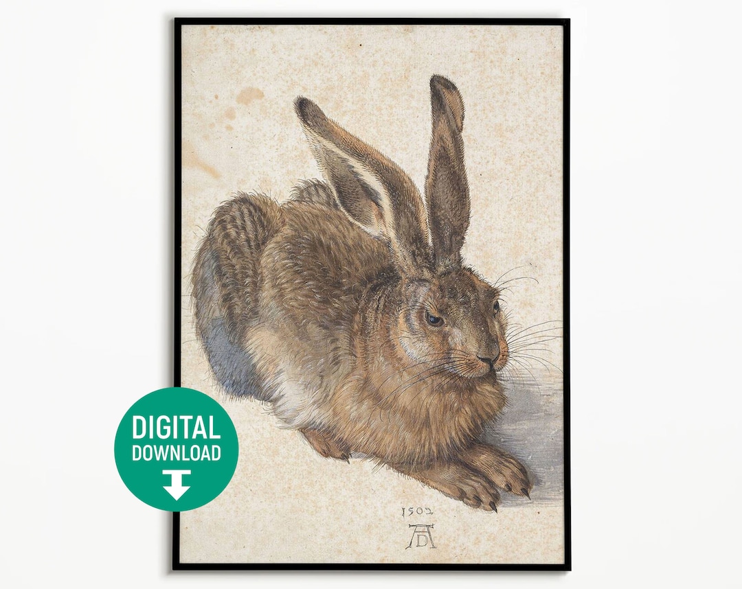 Young Hare Albrecht Durer Poster, Wall Art, Poster Print, Wall Decor ...