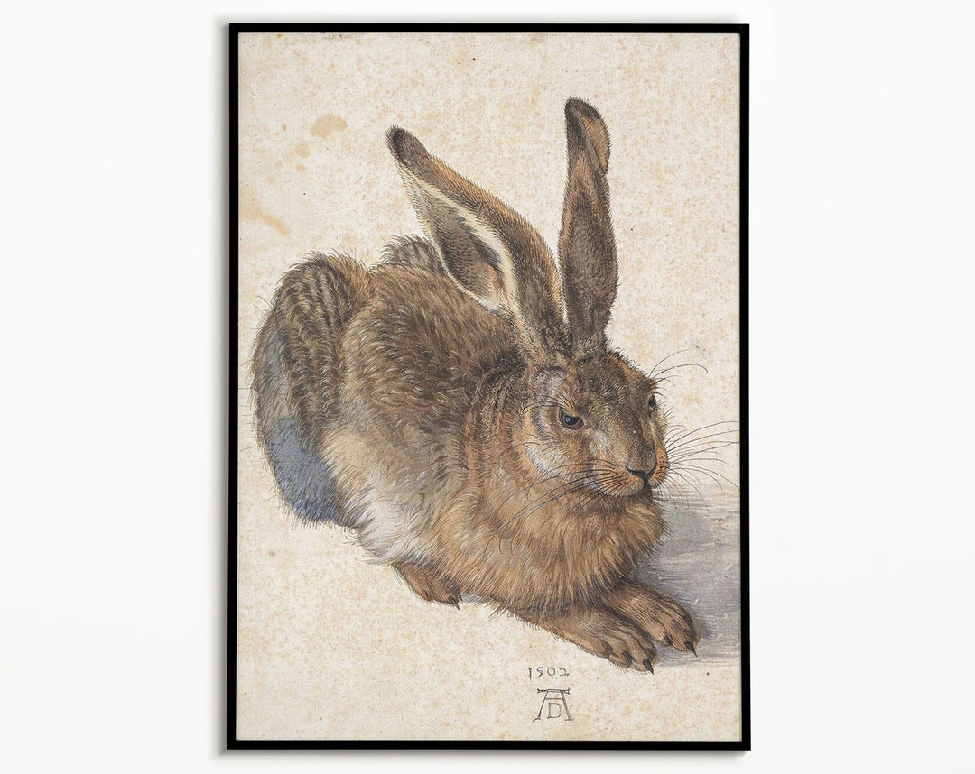 Young Hare Albrecht Durer Poster, Wall Art, Poster Print, Wall Decor ...
