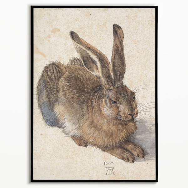Hare Wall Art Durer - Etsy