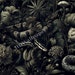 Dark Botanical Snake Wallpaper , Intricate Serpent and Floral Dark ...