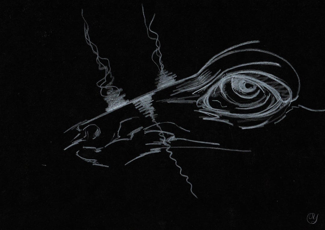 Opus Magnum: Albedo. Mystical Drawing. Giclée Prints. Alchemical ...