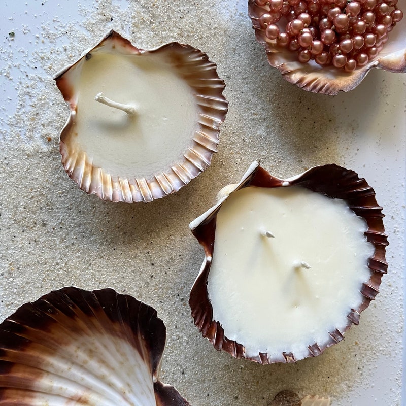 Shell Candle - Etsy