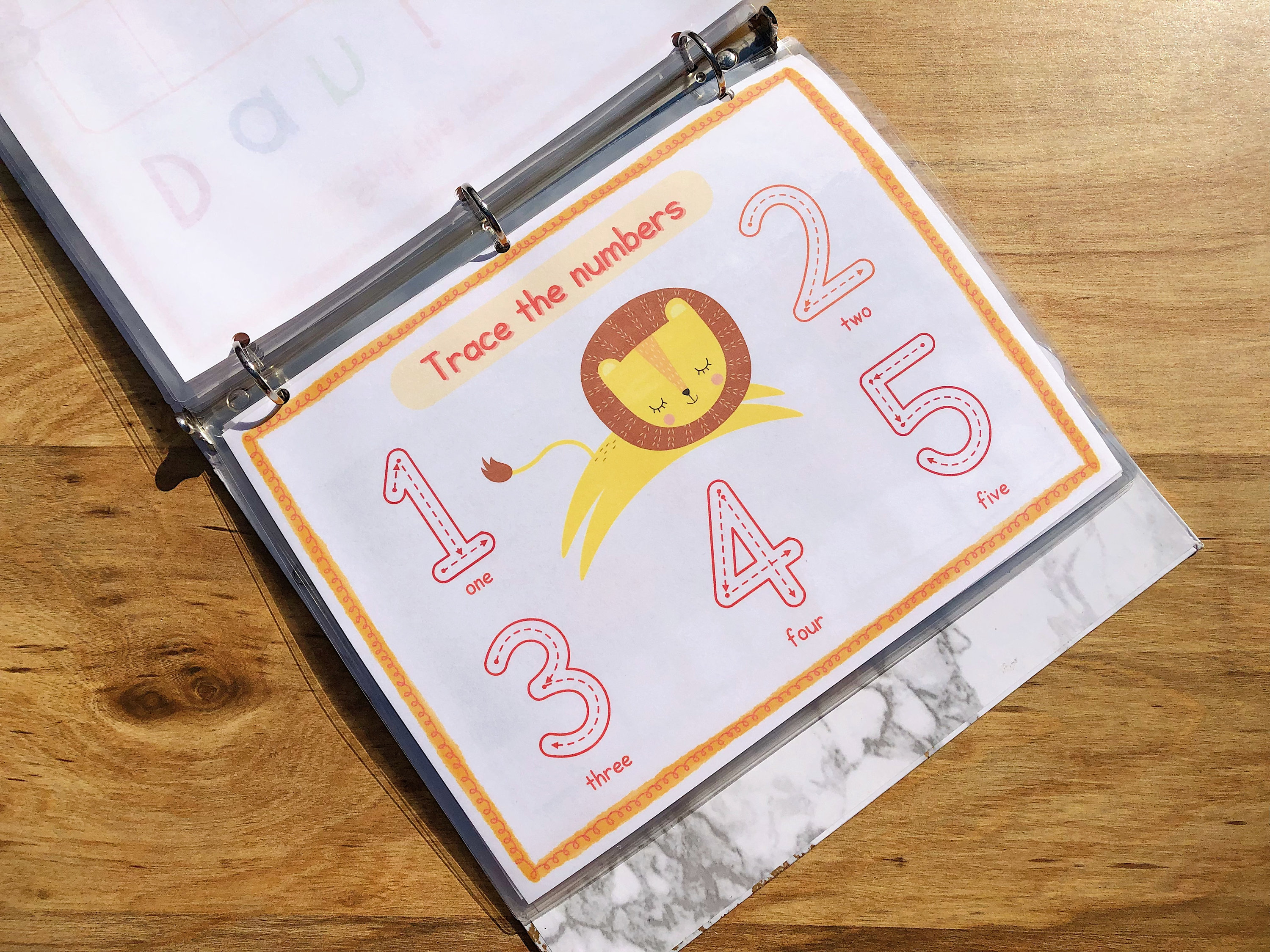 Daniel and the Lion's Den Busy Book Toddler Printable Preschool ...