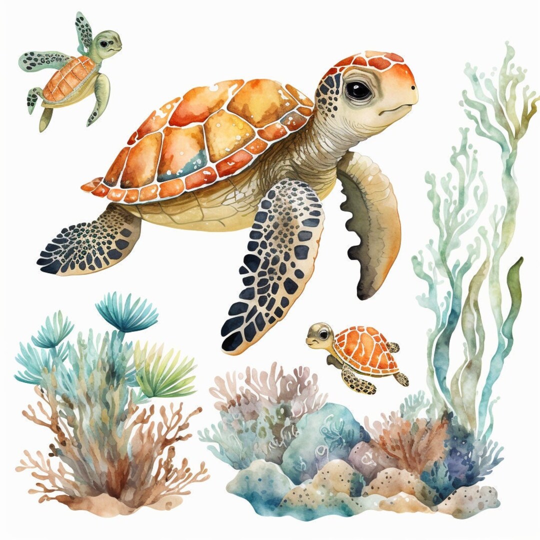 Turtle Watercolor Clipart Underwater World Watercolor Art Baby Turtle ...