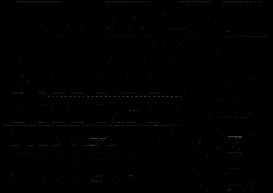 NINER Vinyl Decal Stickers Sheet Bike Frame Cycle Cycling Bicycle Mtb ...