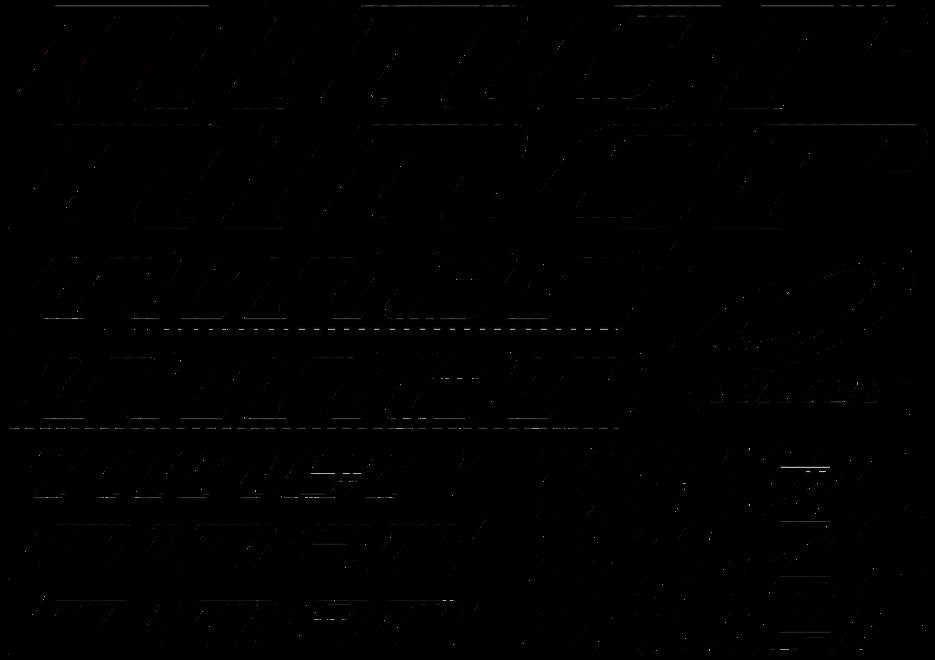 NINER Vinyl Decal Stickers Sheet Bike Frame Cycle Cycling Bicycle Mtb ...