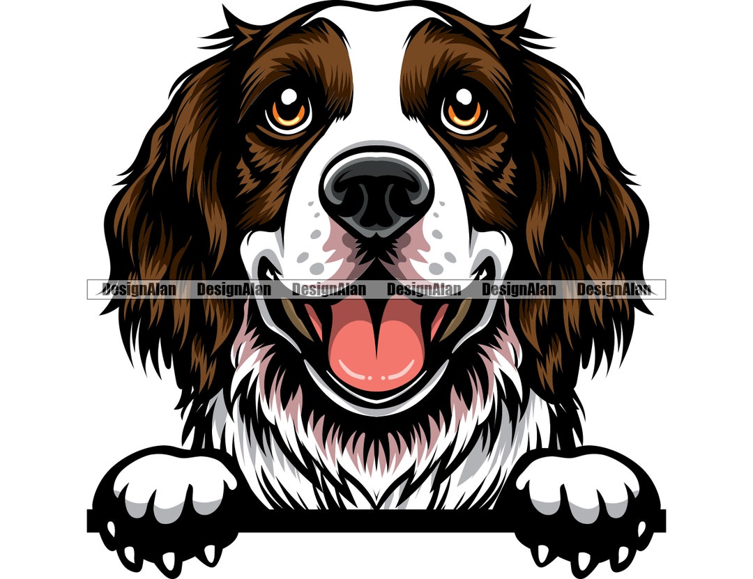 English Springer Spaniel Peeking Dog Smiling Puppy Face Pet Breed ...