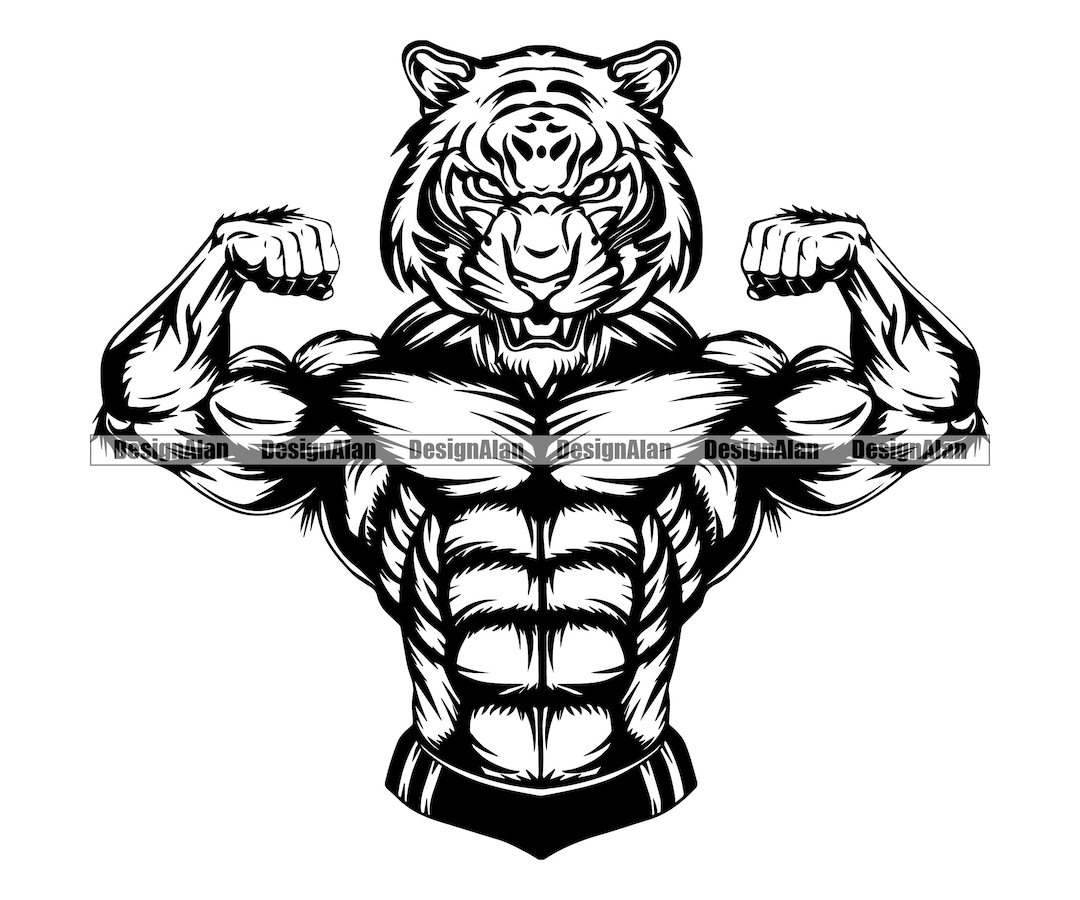 Tiger Muscles Flex Bodybuilding Health Fitness School Mascot Sport ...