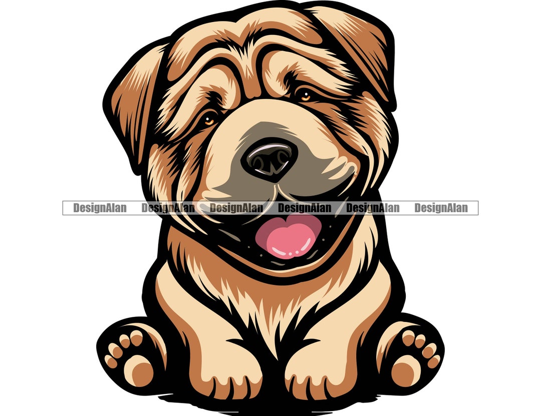 Chinese Shar Pei Sitting Dog Smiling Puppy Face Head Pedigree Pup ...