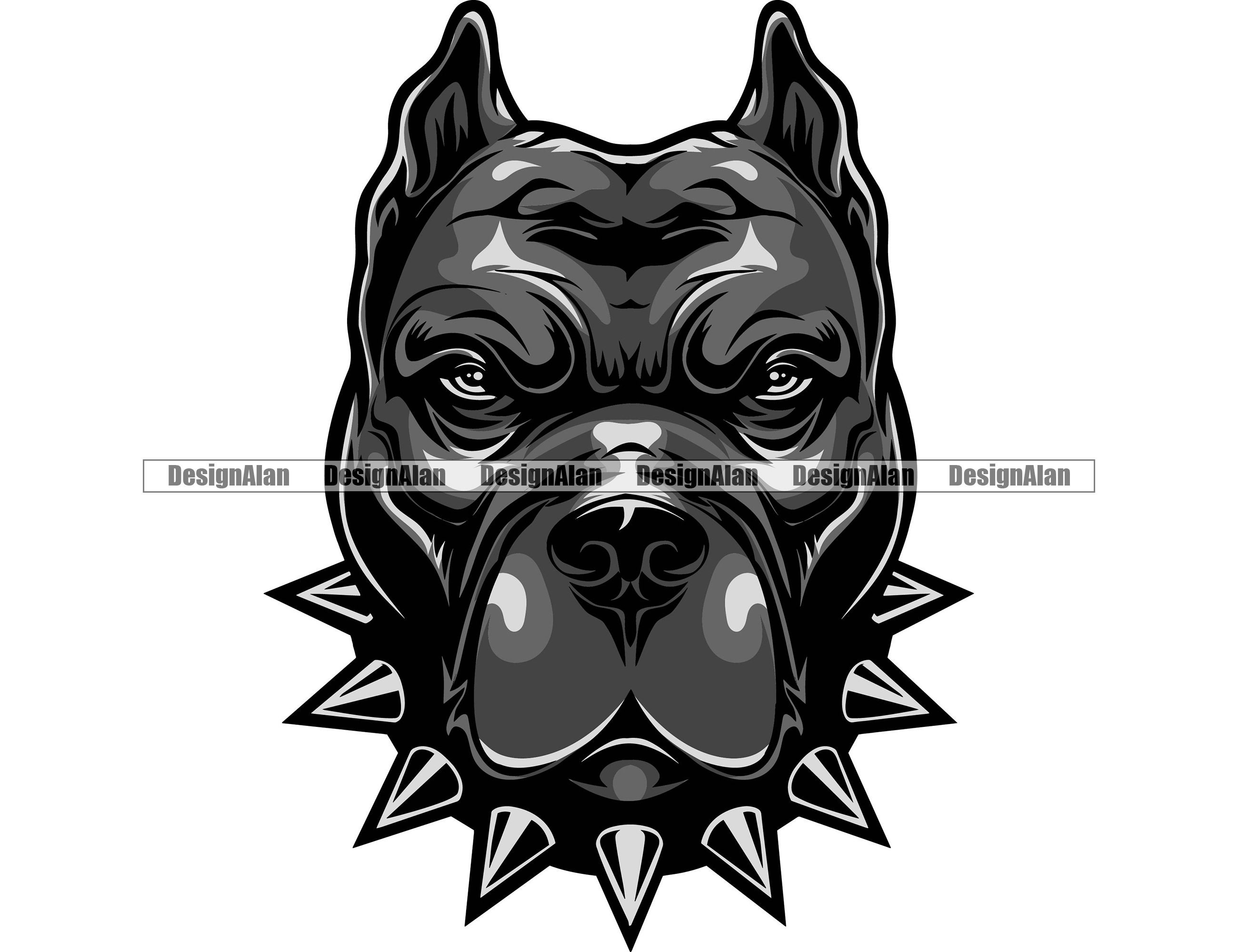 Realistisk Pitbull Tegning Plantilla Digital Pitbull Colección