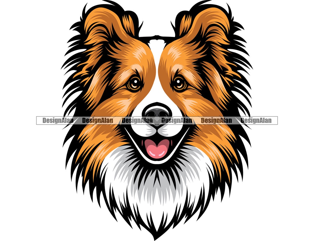Shetland Sheepdog Dog Smiling Cute Puppy Face Head Pup Collie Border ...