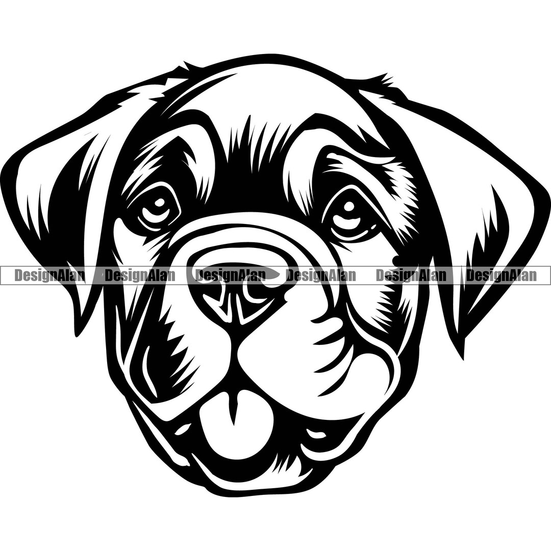 Cane Corso Dog Smiling Puppy Face Pet Breed Pedigree Pup Rottweiler ...