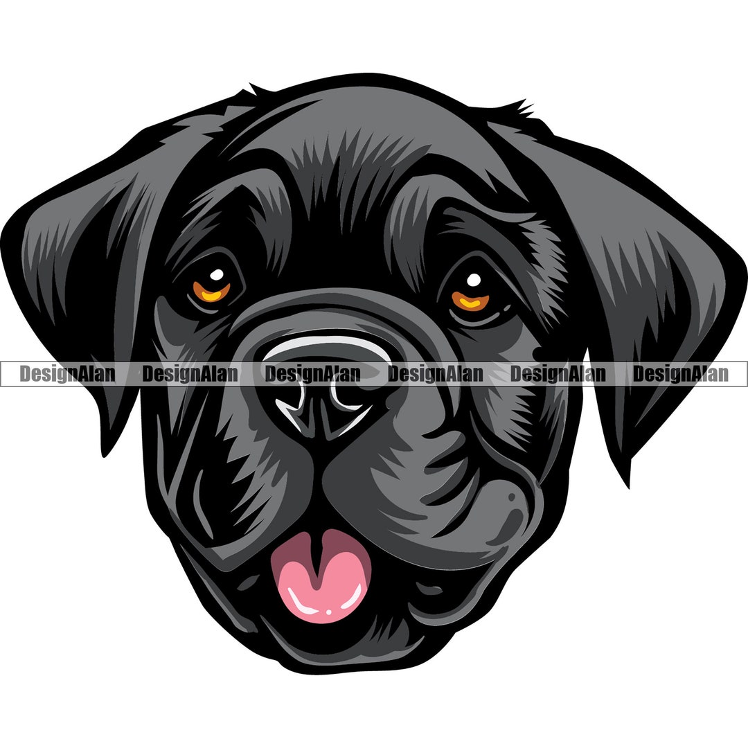 Cane Corso Dog Smiling Puppy Face Pet Breed Pedigree Pup Rottweiler ...