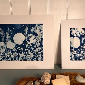 Cyanotype Print - Etsy