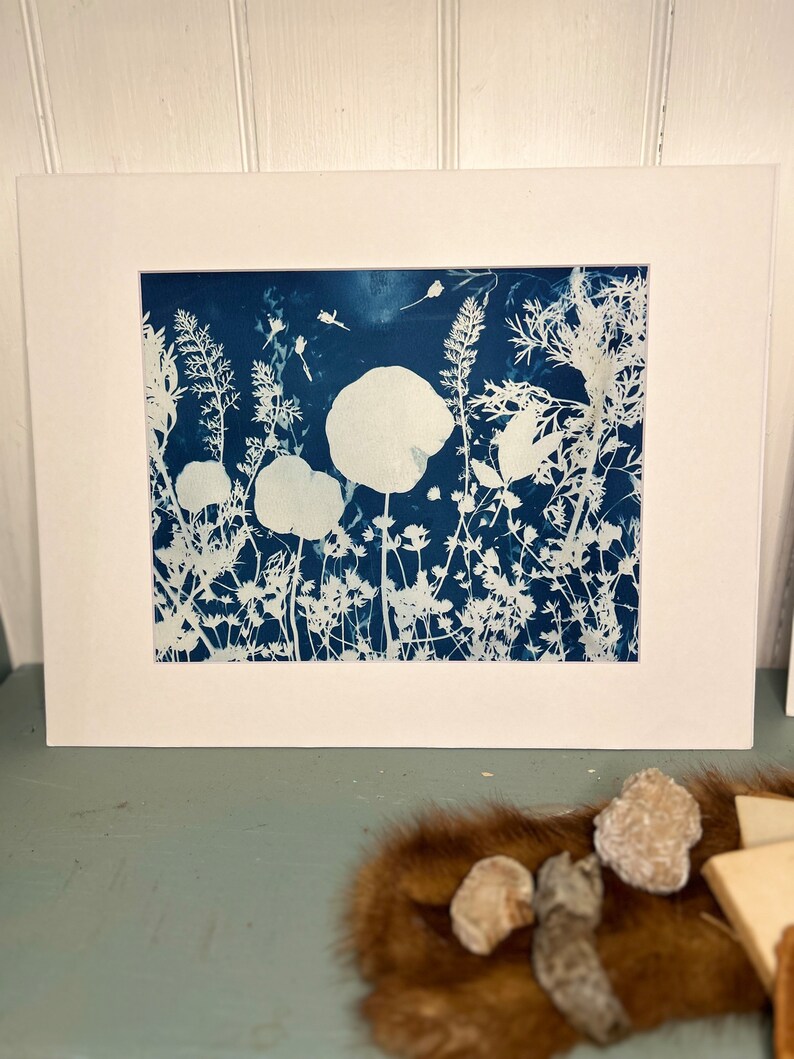 Cyanotype Print - Etsy