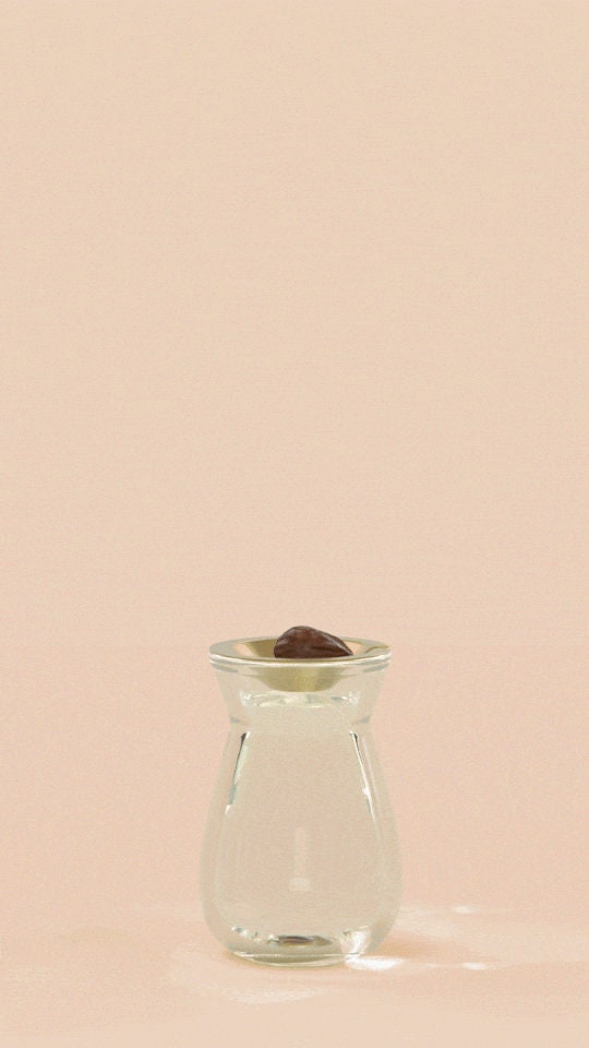 Floral Bulb Glass Diffusers - Etsy