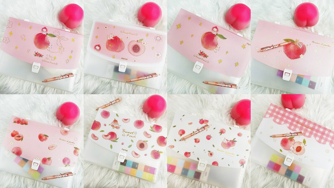Cute Peach Expanding File Folders, A4 Size, File Storage - Etsy