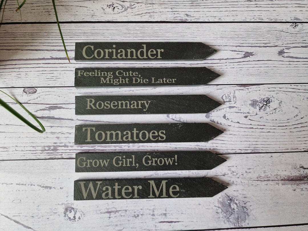 Custom Slate Plant Markers: Laser Engraved Garden Decor, Set of 6 - Etsy
