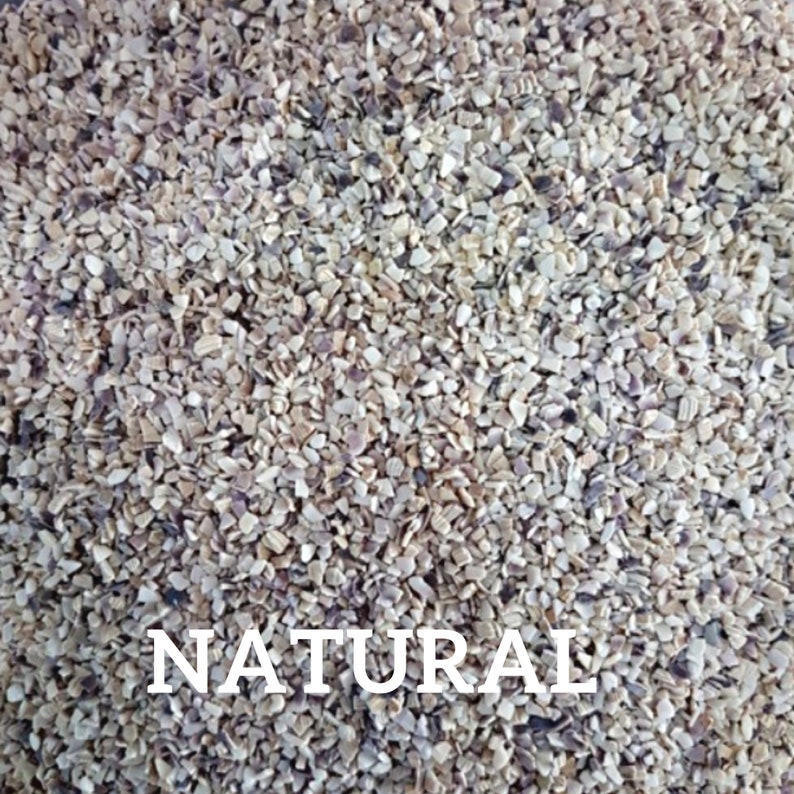 Crushed Seashell, Shell Supply, Nautical Decor, Broken Shell Chips ...