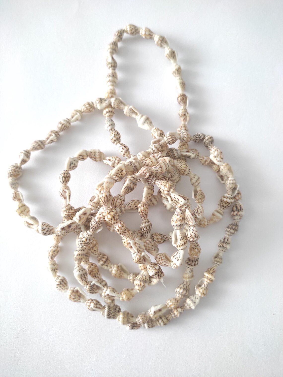 MINI NASSA SHELLS, Small Seashell Mix, Strand Seashell Beads, Beach ...