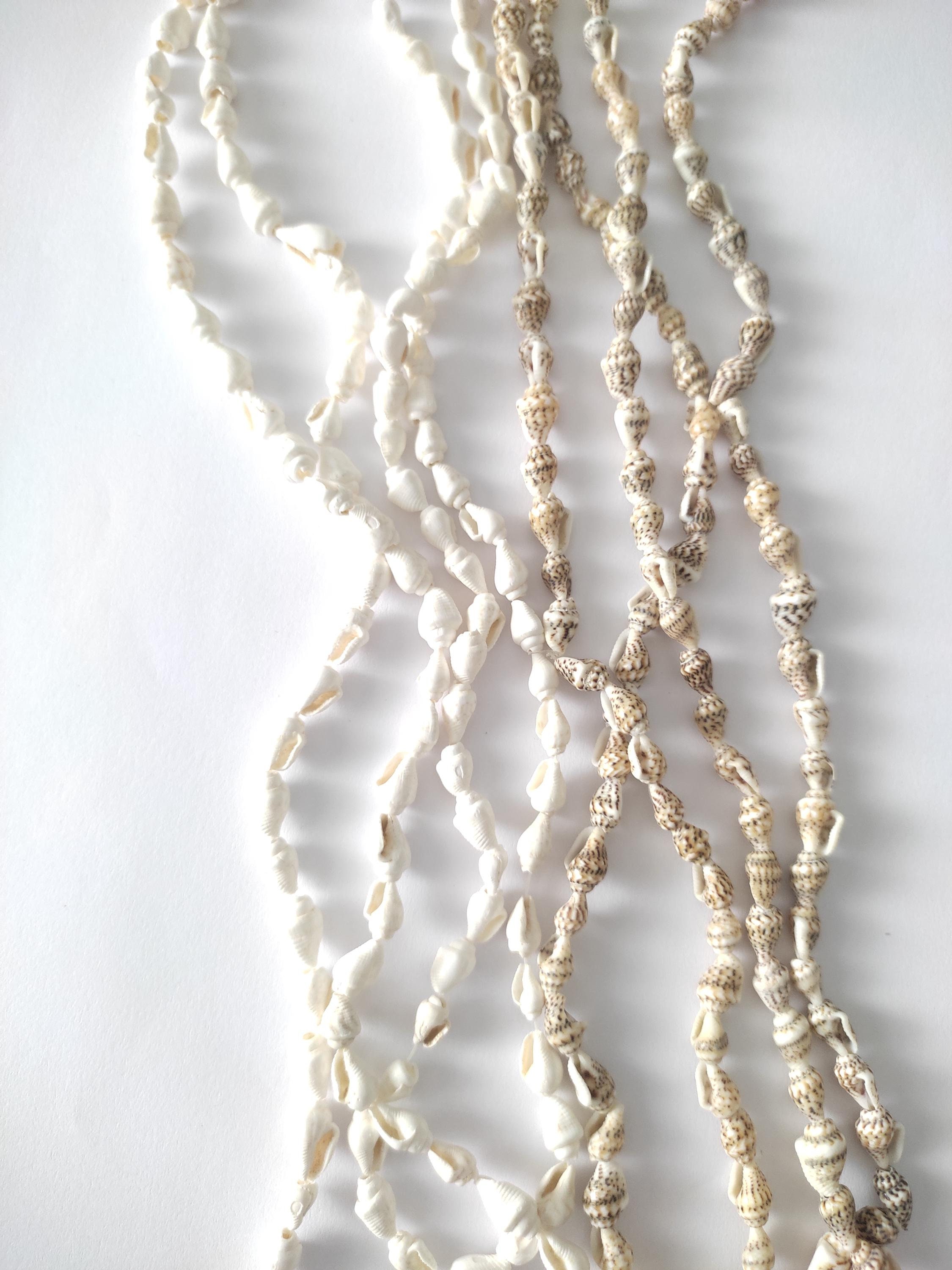 MINI NASSA SHELLS, Small Seashell Mix, Strand Seashell Beads, Beach ...