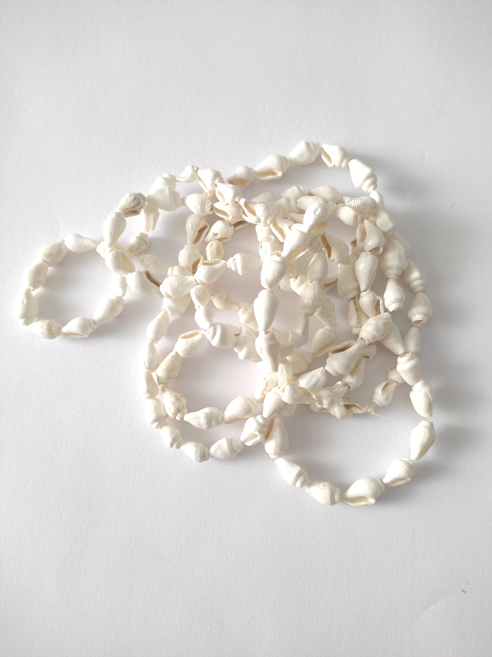 MINI NASSA SHELLS, Small Seashell Mix, Strand Seashell Beads, Beach ...