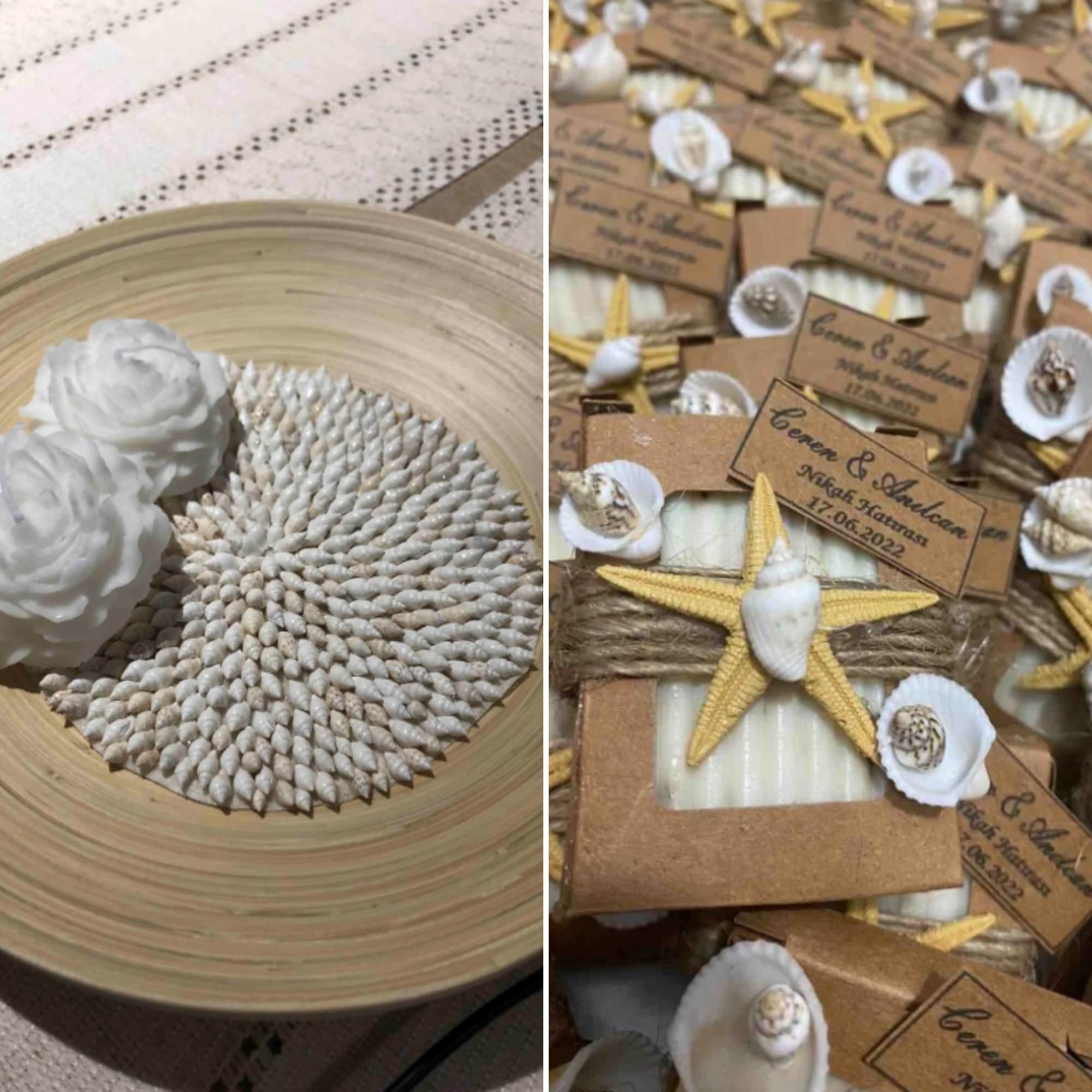 MINI NASSA SHELLS, Small Seashell Mix, Tiny Sea Shell Lot, Beach ...