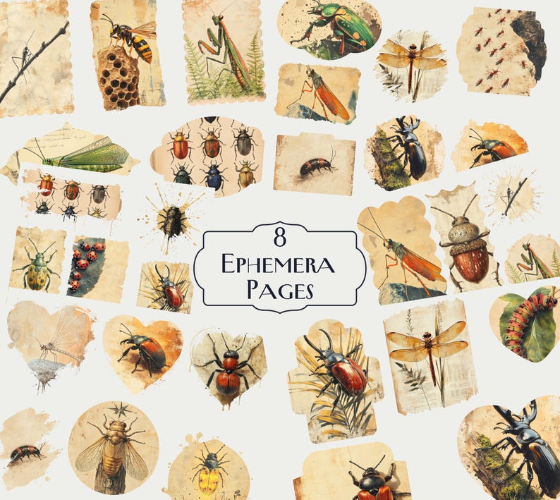 30 Insects Junk Journal Kit, Printable Bug Ephemera Pages, Vintage ...