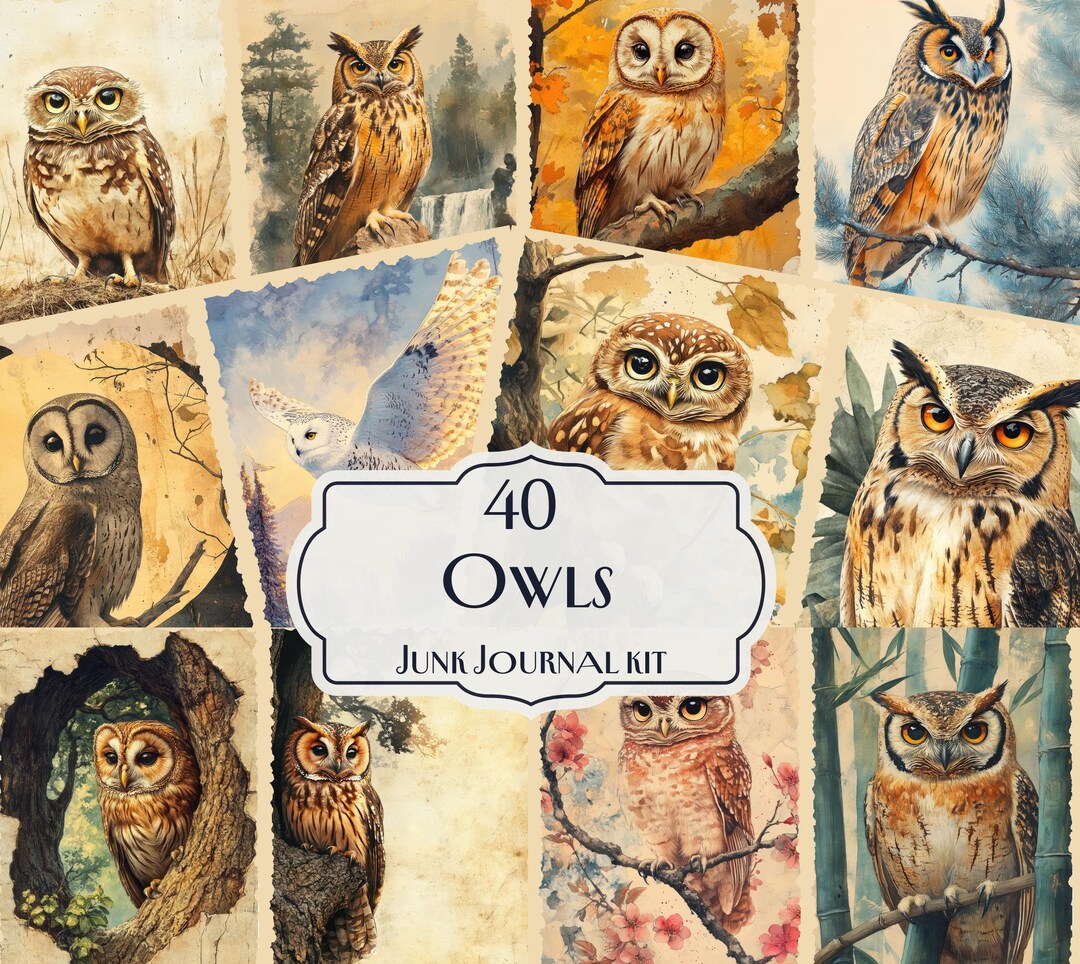 40 Owls Junk Journal Kit, Vintage Owl Digital Papers, Woodland Bird ...