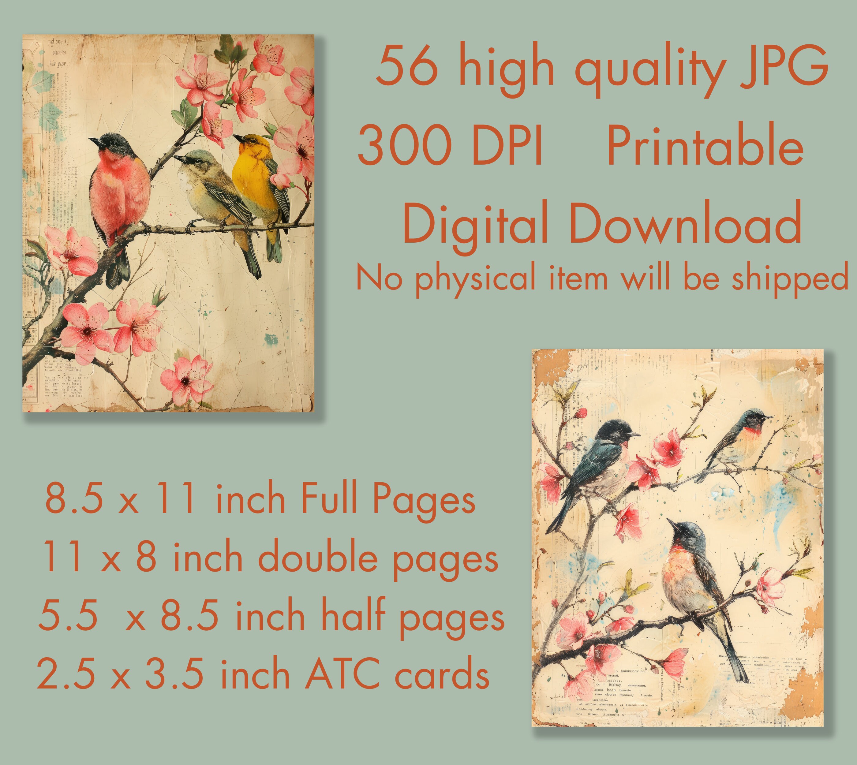 Spring Birds Junk Journal, Vintage Bird Junk Journal Kit, Digital Junk ...