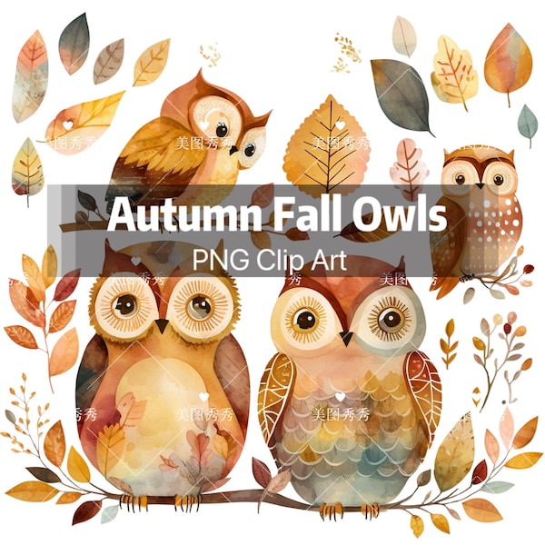 Cute Owl Clip Art - Etsy