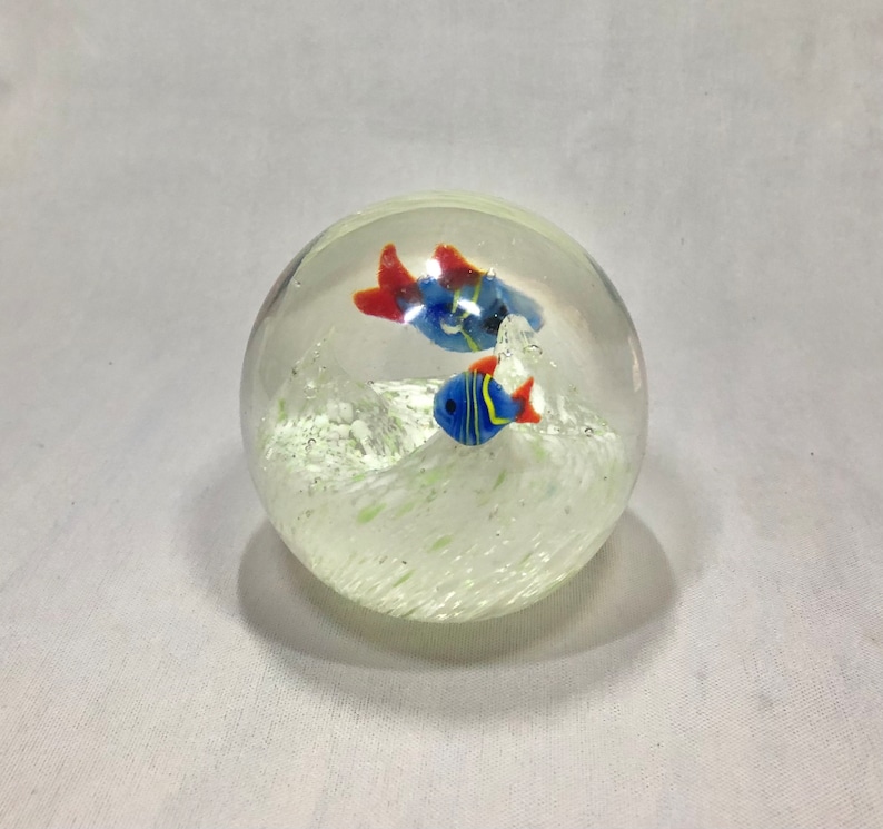 Art Glass Fish Aquarium Reef Orb Paperweight - Etsy