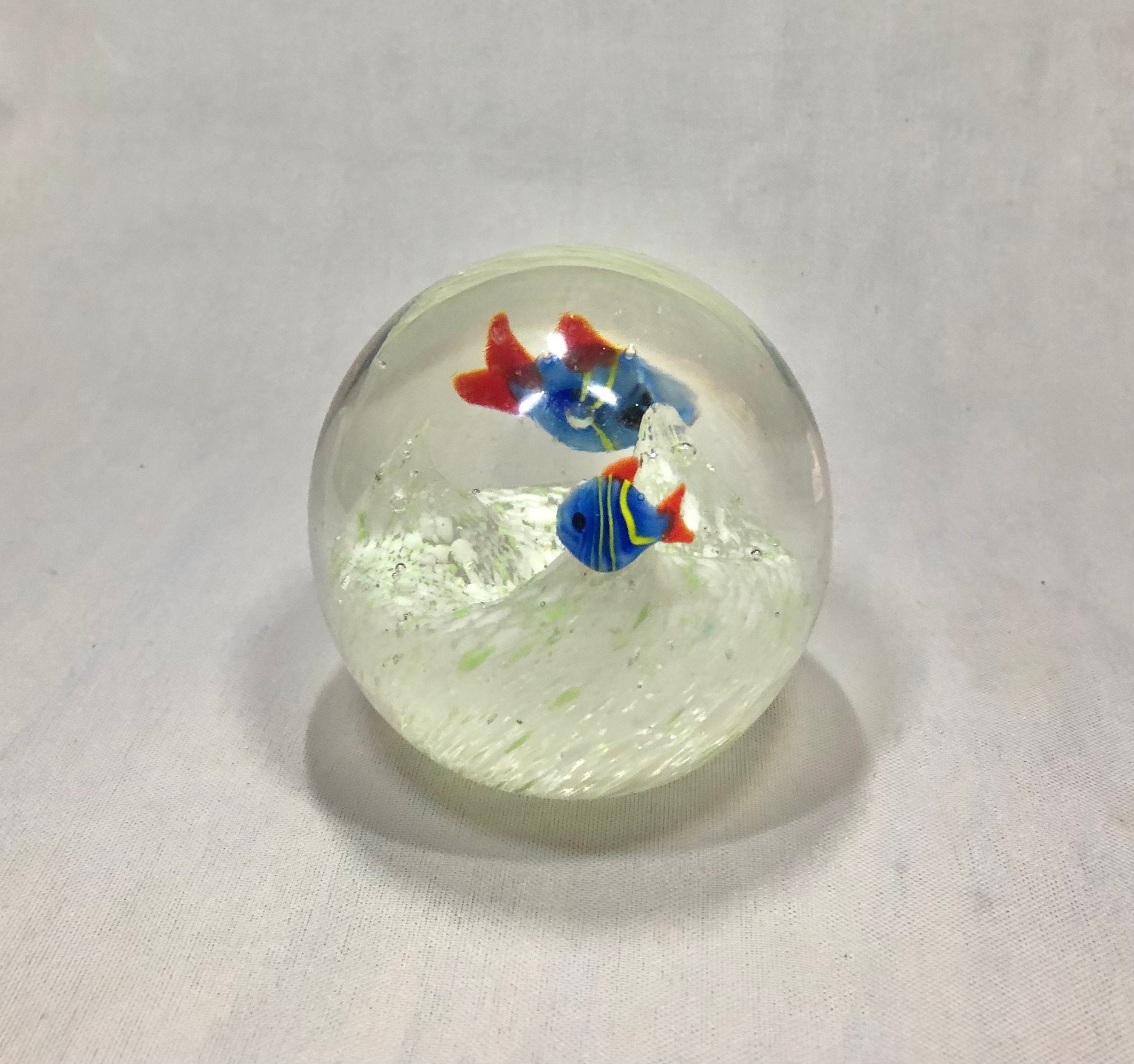 Art Glass Fish Aquarium Reef Orb Paperweight - Etsy
