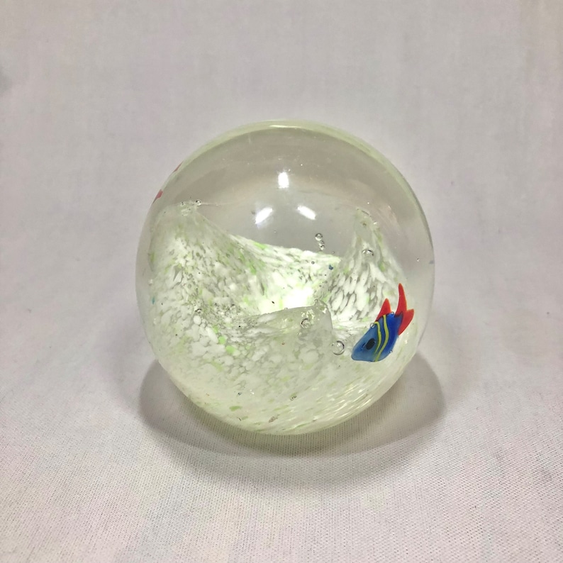 Art Glass Fish Aquarium Reef Orb Paperweight - Etsy