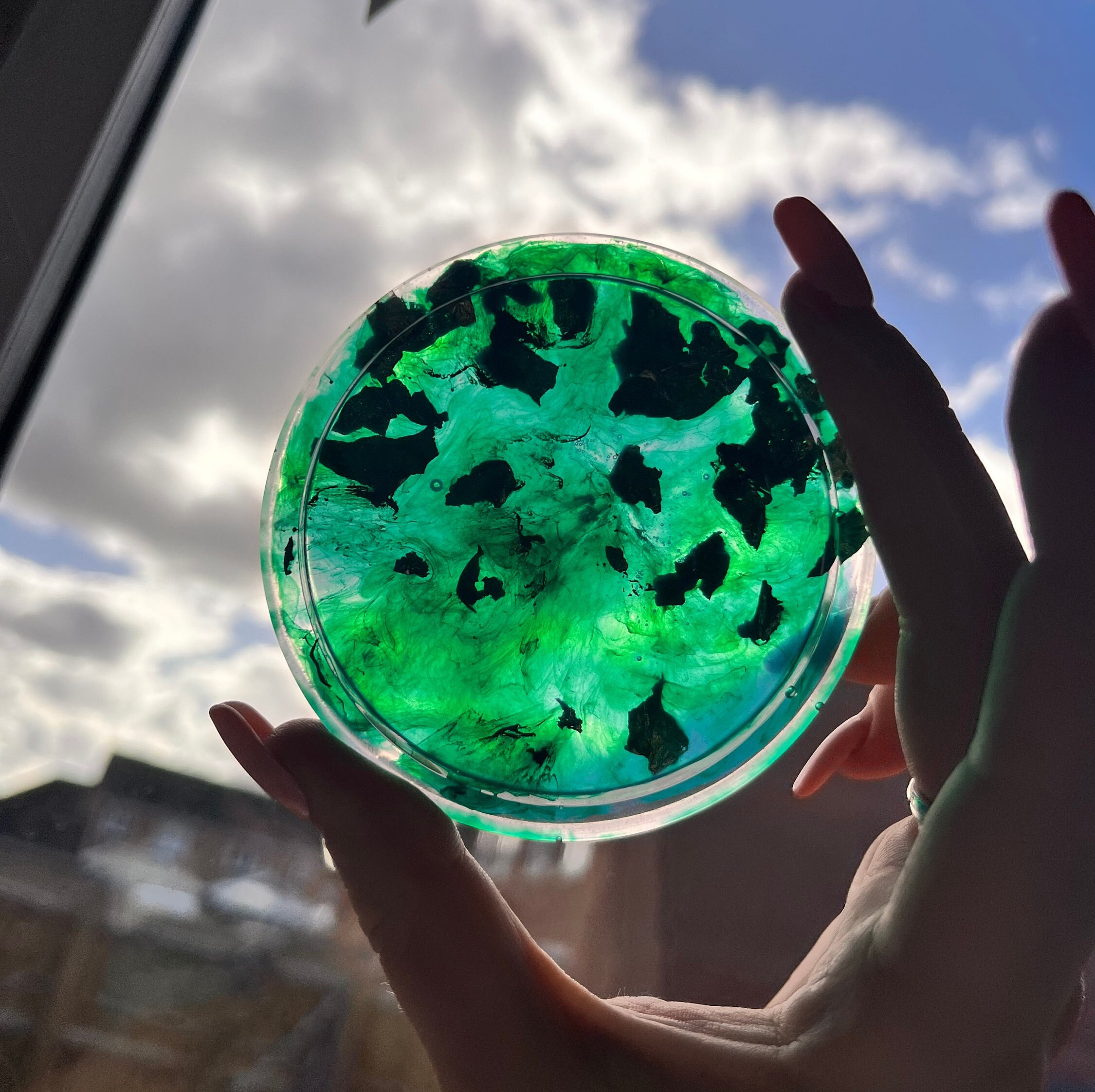Resin Coaster - Etsy