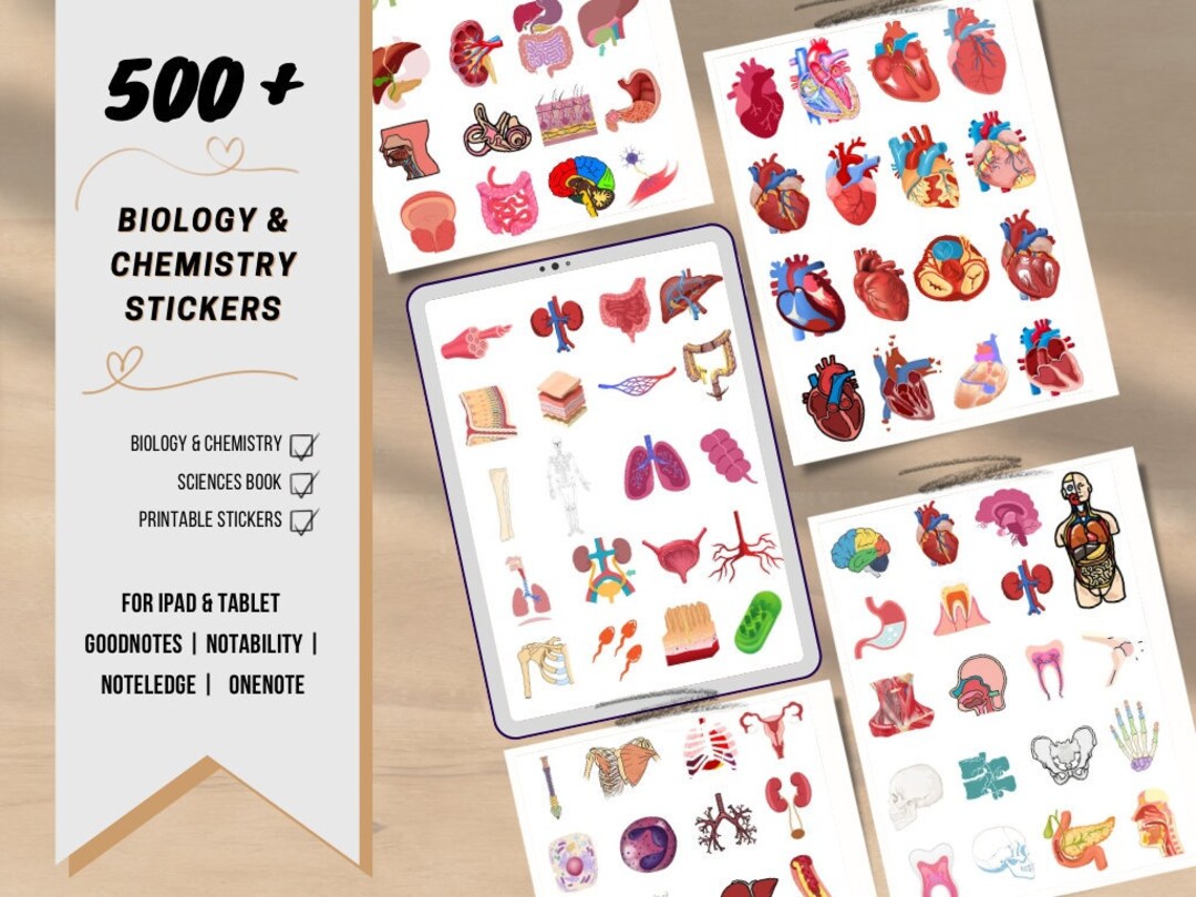 Anatomy Biology Digital Stickers , Pre-cropped Human Body Stickers ...