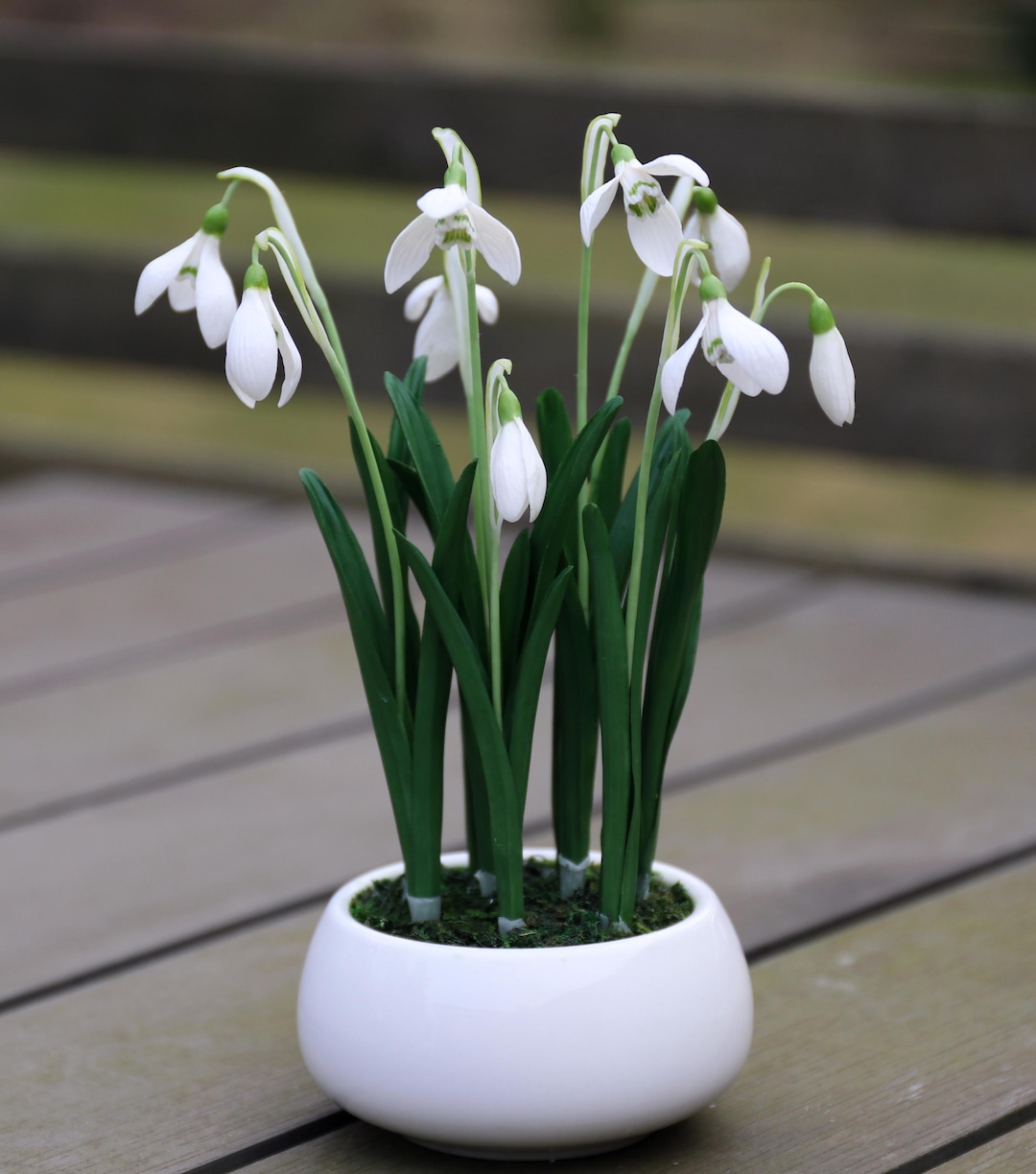 Realistic Snowdrop Flowers in Pot: Spring Floral Decor - Etsy