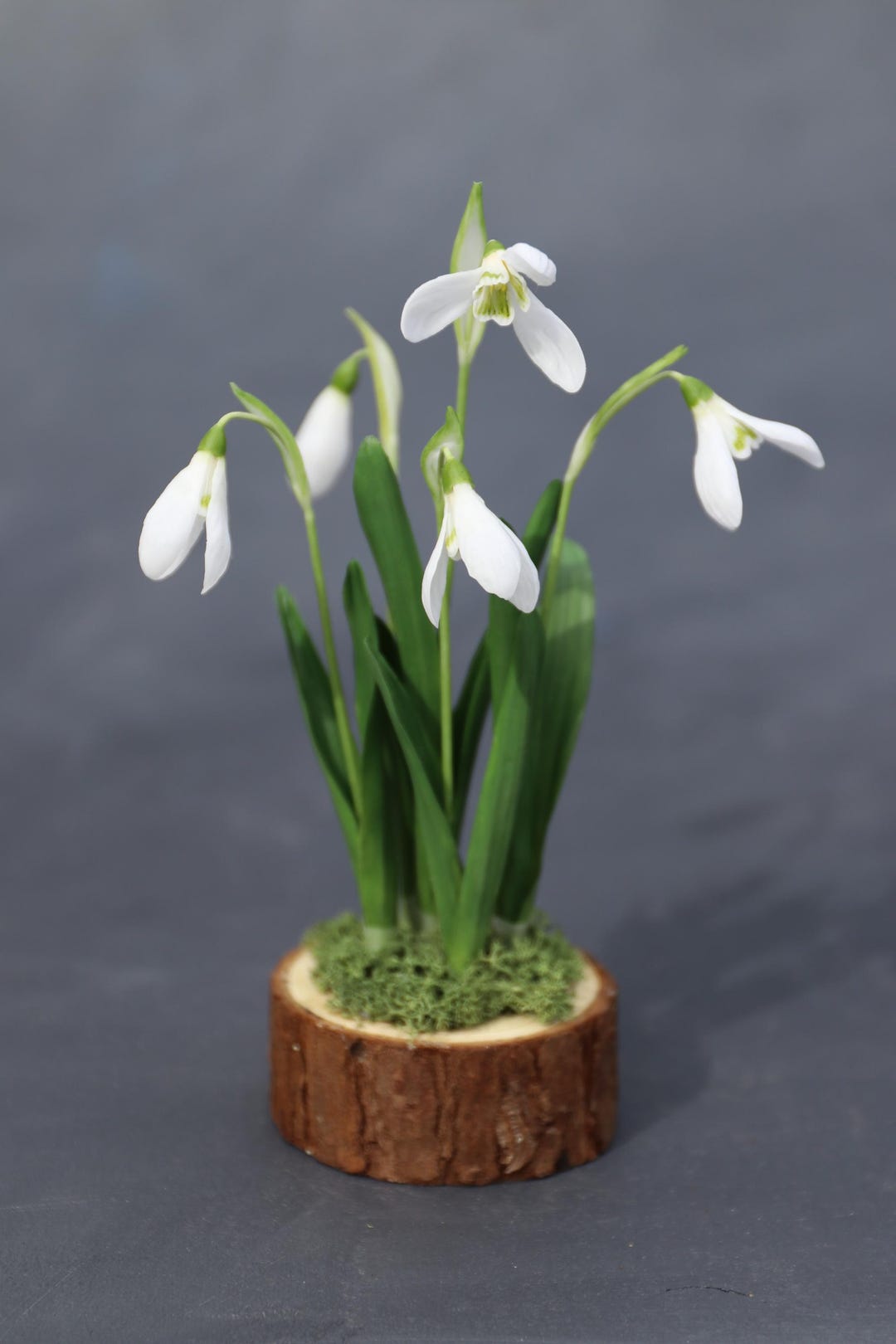 Realistic Snowdrop Flowers in Wooden Base, Faux Spring Floral Decor ...